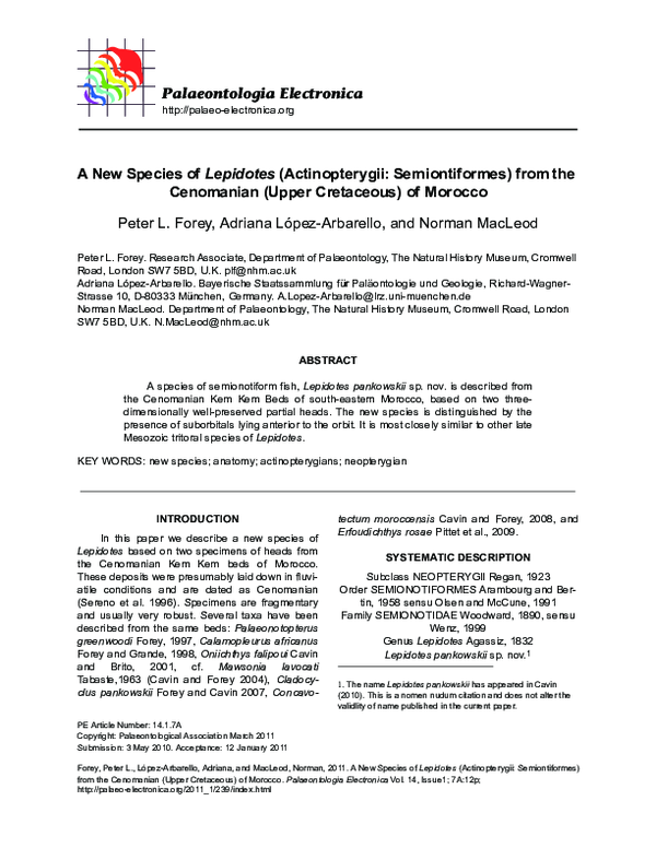 (PDF) A New Species of Lepidotes (Actinopterygii: Semiontiformes) from ...