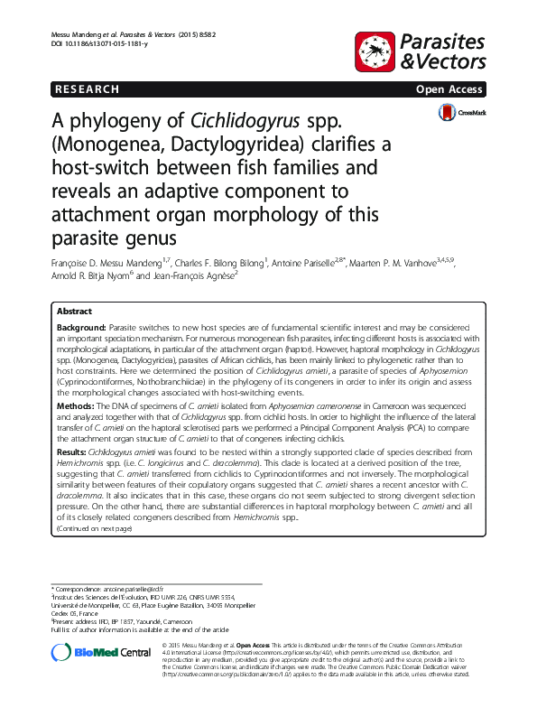 (PDF) A phylogeny of Cichlidogyrus spp. (Monogenea, Dactylogyridea ...