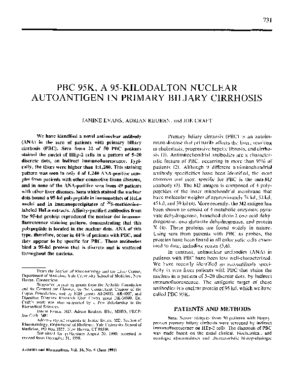 (PDF) PBC 95K, a 95-kilodalton nuclear autoantigen in primary biliary ...