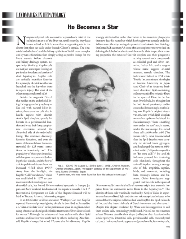 (PDF) Ito becomes a star