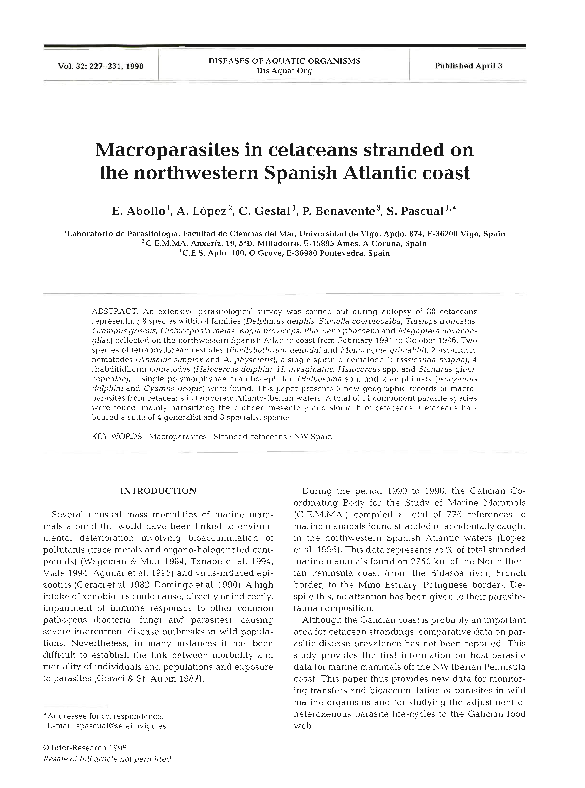 (PDF) Macroparasites in cetaceans stranded on the northwestern Spanish ...