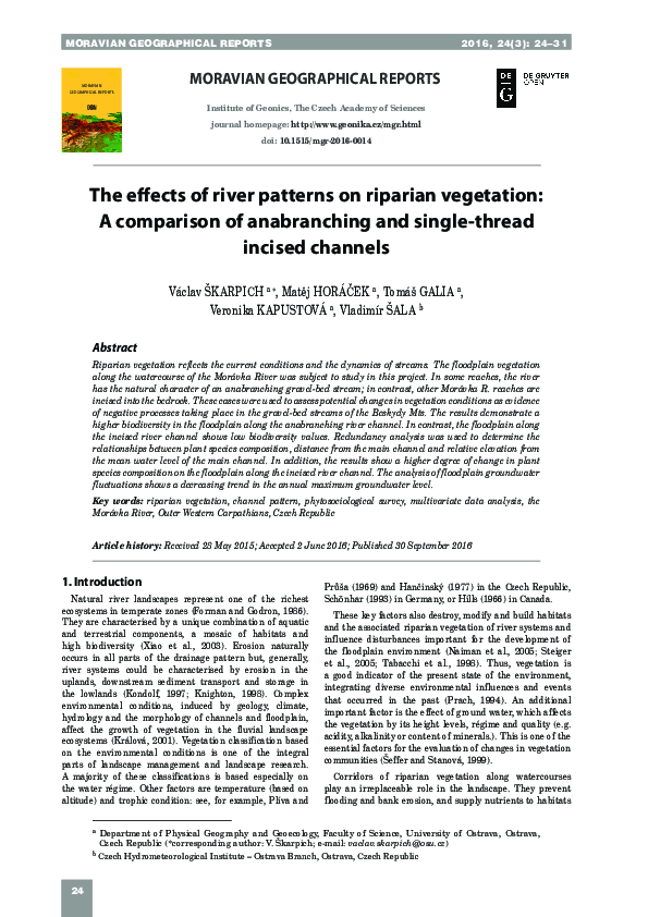 (PDF) The effects of river patterns on riparian vegetation: A ...
