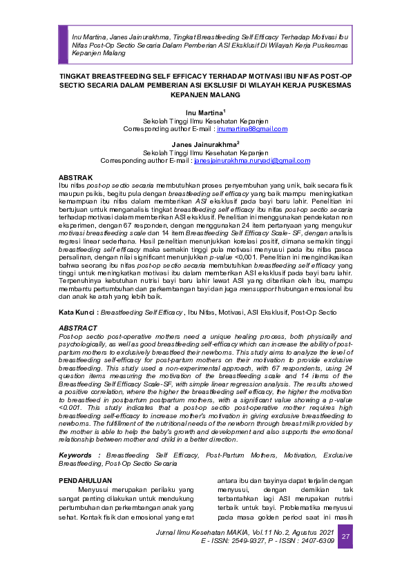 (PDF) Tingkat Breastfeeding Self Efficacy Terhadap Motivasi Ibu Nifas ...