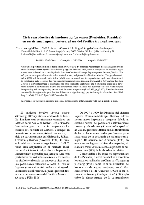 (PDF) [Reproductive cycle of the mollusk Atrina maura (Pterioidea ...