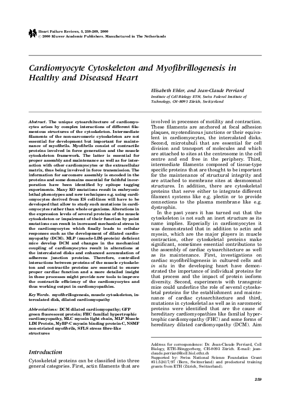 (PDF) Cardiomyocyte cytoskeleton and myofibrillogenesis in healthy and ...