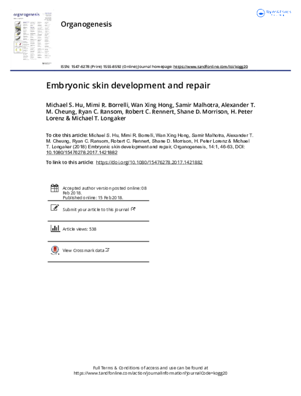 (PDF) Embryonic skin development and repair