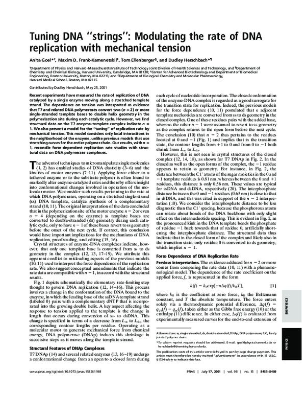 (PDF) Tuning DNA "strings": Modulating the rate of DNA replication with ...