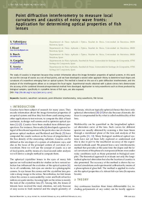 (PDF) Point diffraction interferometry to measure local curvatures and ...