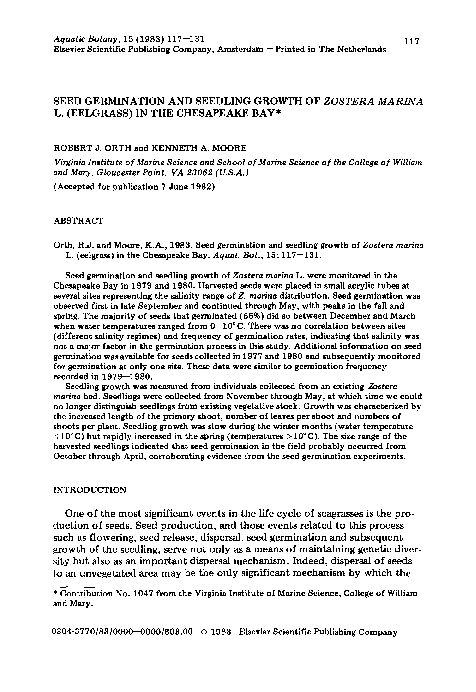 (PDF) Seed germination and seedling growth of Zostera marina L ...