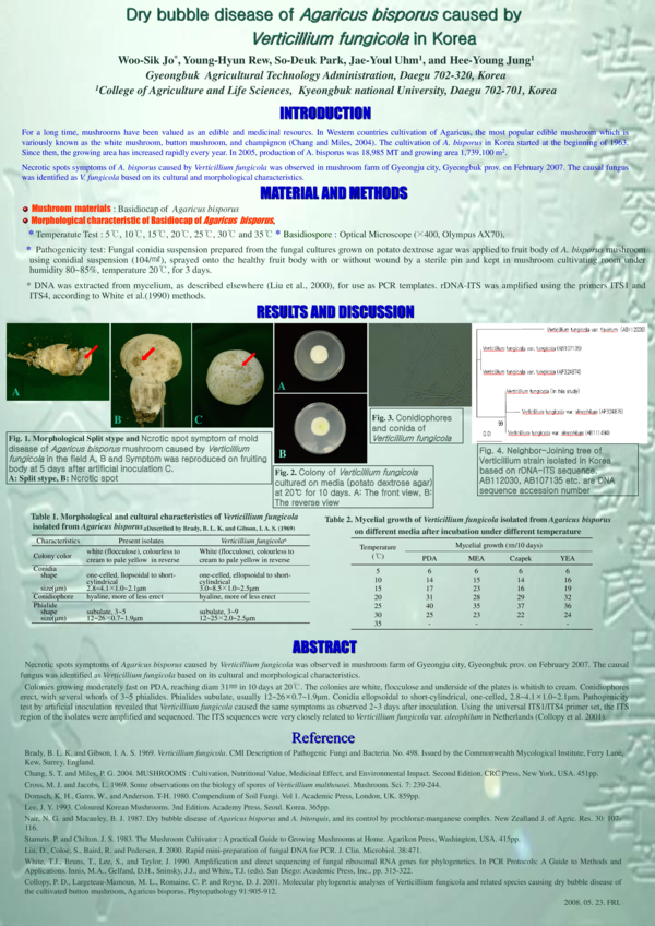 (PDF) Dry bubble disease of Agaricus bisporus caused by Verticillium ...
