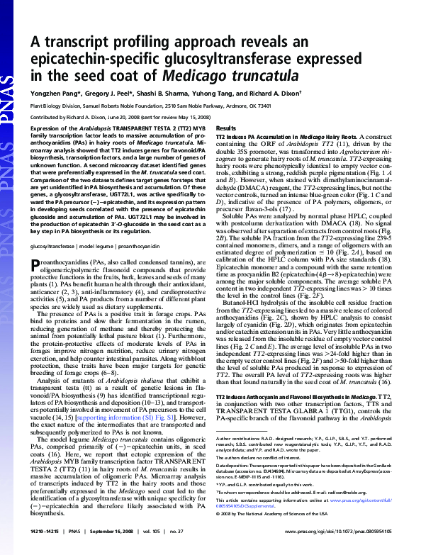(PDF) A transcript profiling approach reveals an epicatechin-specific ...