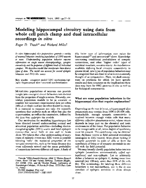 (PDF) Modeling hippocampal circuitry using data from whole cell patch ...