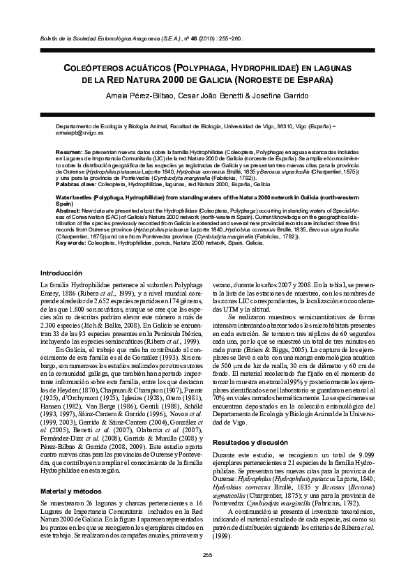 (PDF) Coleópteros acuáticos (Polyphaga, Hydrophilidae) en lagunas de la ...