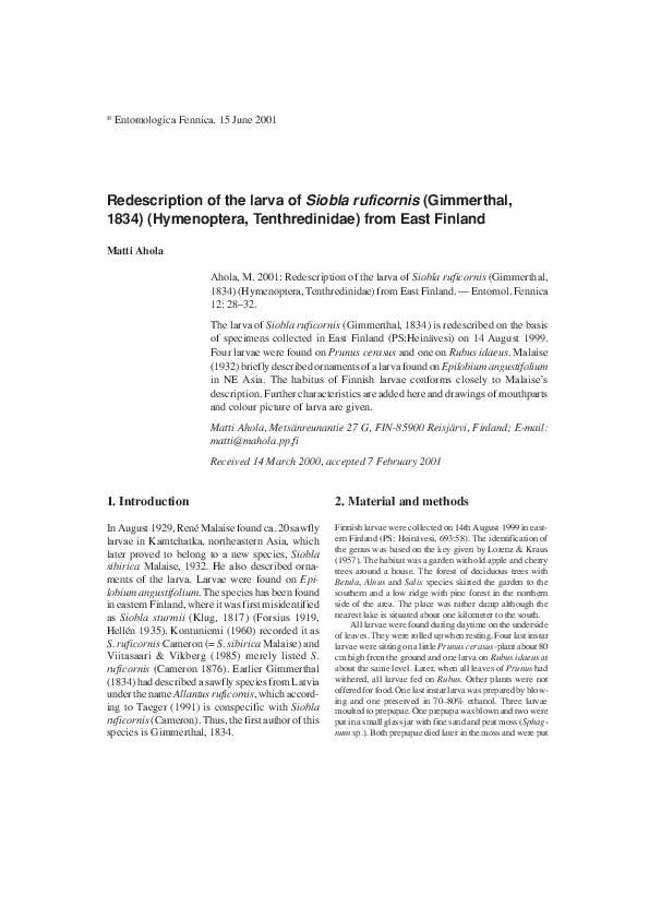 (PDF) Redescription of the larva of Siobla ruficornis (Gimmerthal, 1834 ...