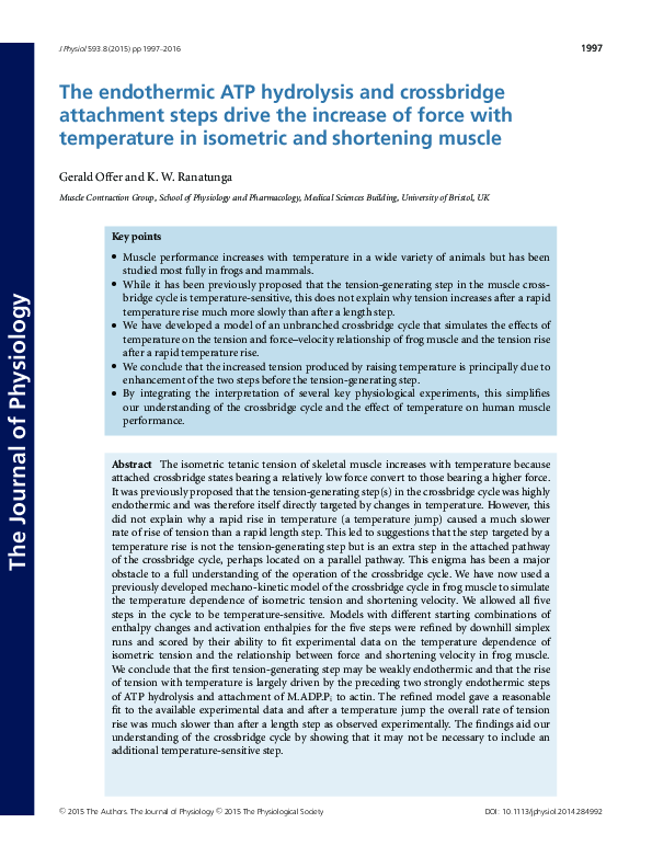 (PDF) The endothermic ATP hydrolysis and crossbridge attachment steps ...