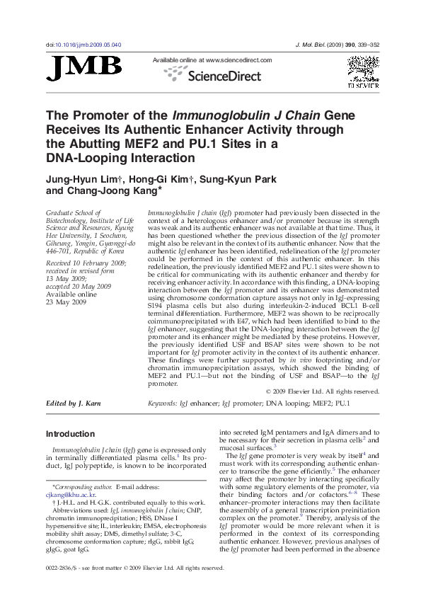 (PDF) The Promoter of the Immunoglobulin J Chain Gene Receives Its ...