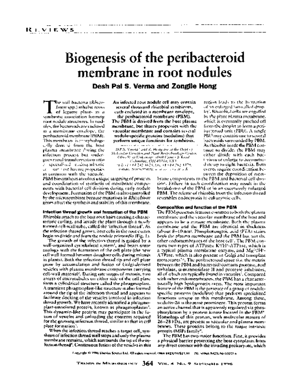 (PDF) Biogenesis of the peribacteriod membrane in root nodules