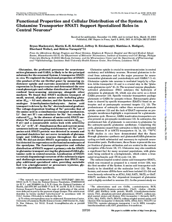 (PDF) Functional Properties and Cellular Distribution of the System A ...