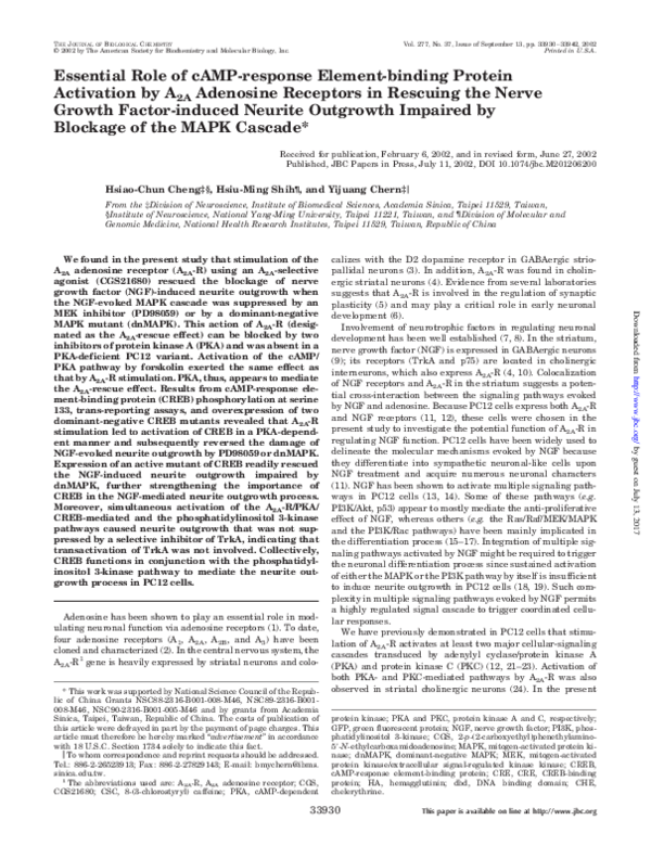 (PDF) Essential Role of cAMP-response Element-binding Protein ...
