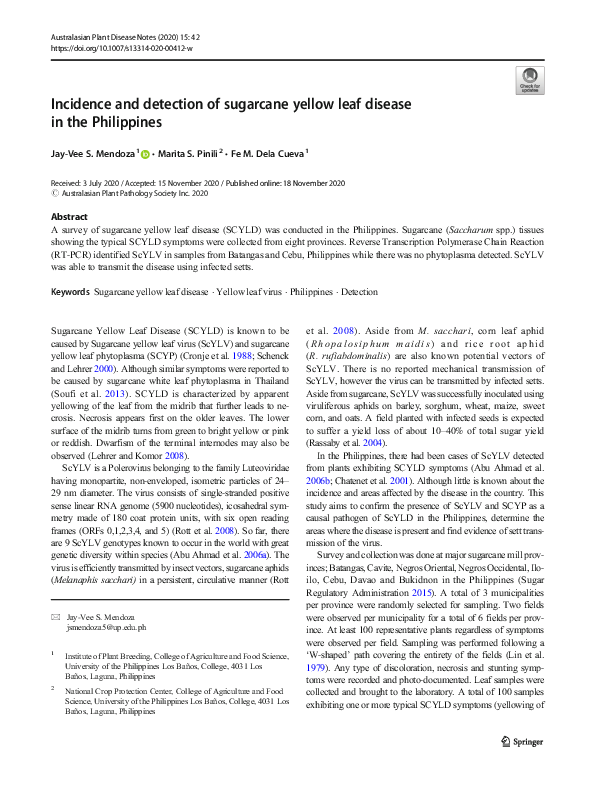 Pdf Incidence And Detection Of Sugarcane Yellow Leaf Disease In The Philippines