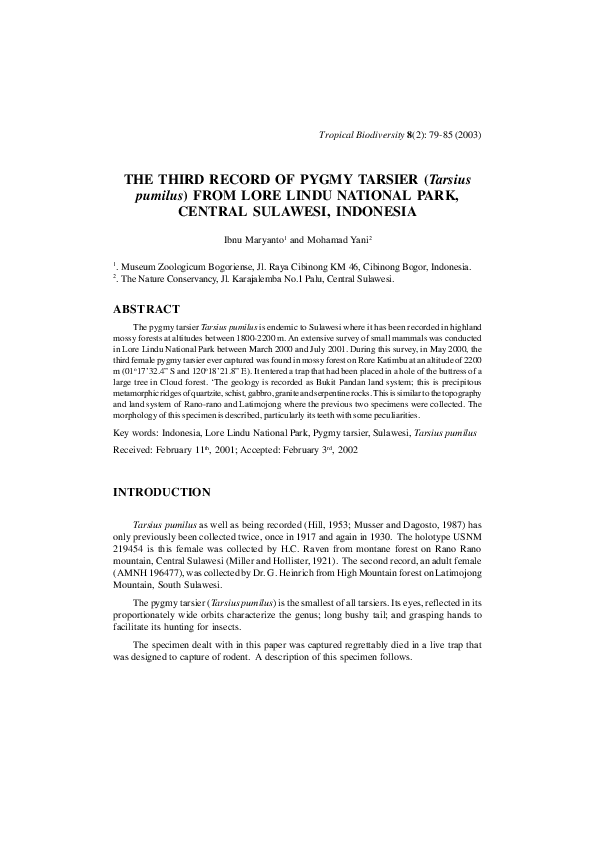 (PDF) The third record of pygmy tarsier (Tarsius pumilus) from Lore ...