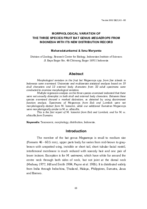 (PDF) Morphological Variation of the Three Species Fruit Bat Genus ...
