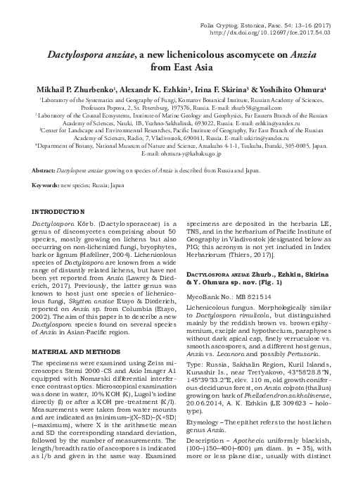 (PDF) Dactylospora anziae, a new lichenicolous ascomycete on Anzia from ...
