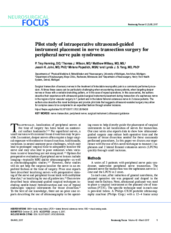 (PDF) Pilot study of intraoperative ultrasound-guided instrument ...