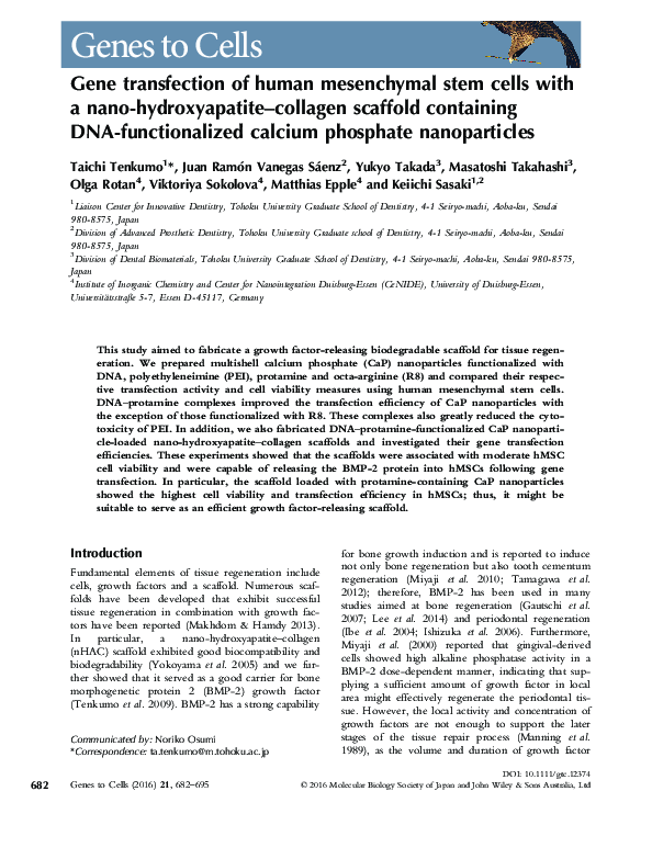 (PDF) Gene transfection of human mesenchymal stem cells with a nano-hydroxyapatite-collagen ...