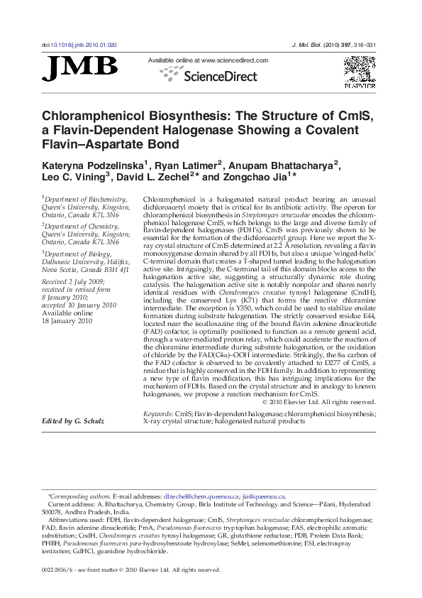 (PDF) Chloramphenicol Biosynthesis: The Structure of CmlS, a Flavin ...