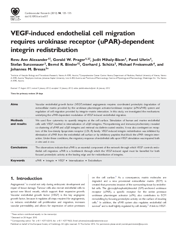 (PDF) VEGF-induced endothelial cell migration requires urokinase ...