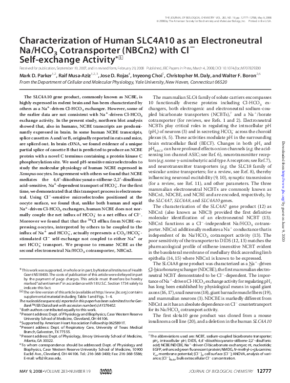 (PDF) Characterization of Human SLC4A10 as an Electroneutral Na/HCO3 ...