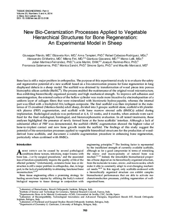 (PDF) New Bio-ceramization process applied to vegetable hierarchical ...