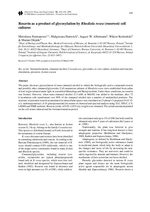 (PDF) Rosavin as a product of glycosylation by Rhodiola rosea (roseroot ...