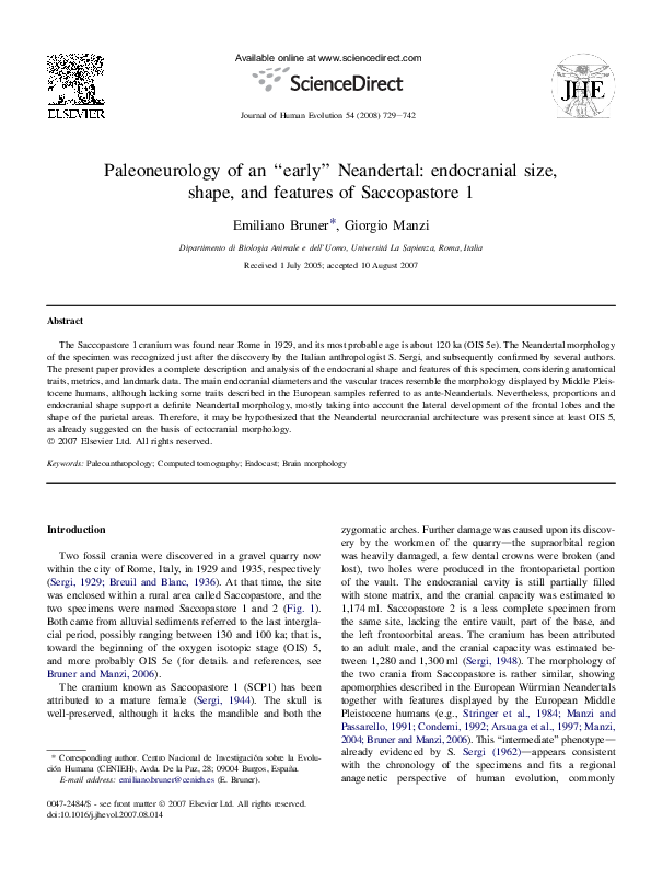 (PDF) Paleoneurology of an “early” Neandertal: endocranial size, shape ...