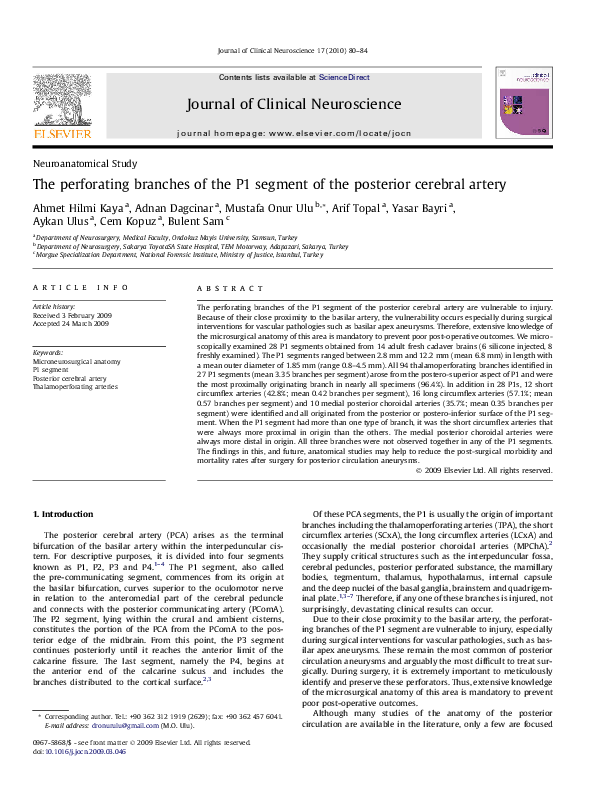 (PDF) The perforating branches of the P1 segment of the posterior ...