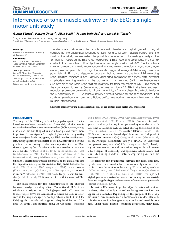 (PDF) Interference of tonic muscle activity on the EEG: A single motor ...