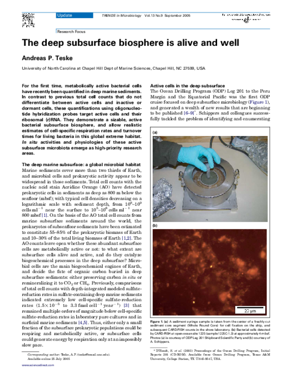 (PDF) The deep subsurface biosphere is alive and well