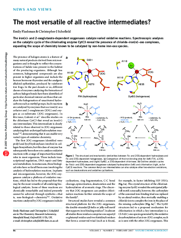 (PDF) The most versatile of all reactive intermediates?