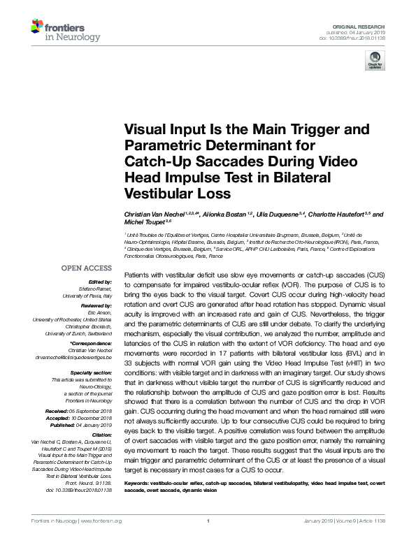 (PDF) Visual Input Is the Main Trigger and Parametric Determinant for ...