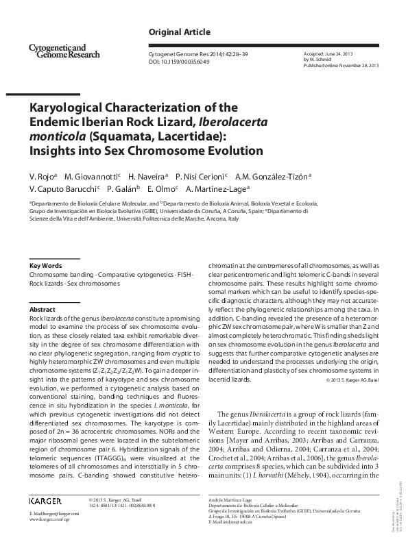 (PDF) Karyological Characterization of the Endemic Iberian Rock Lizard ...