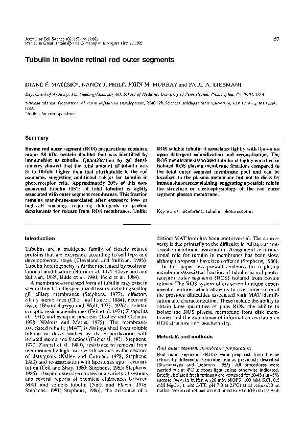 (PDF) Tubulin in bovine retinal rod outer segments