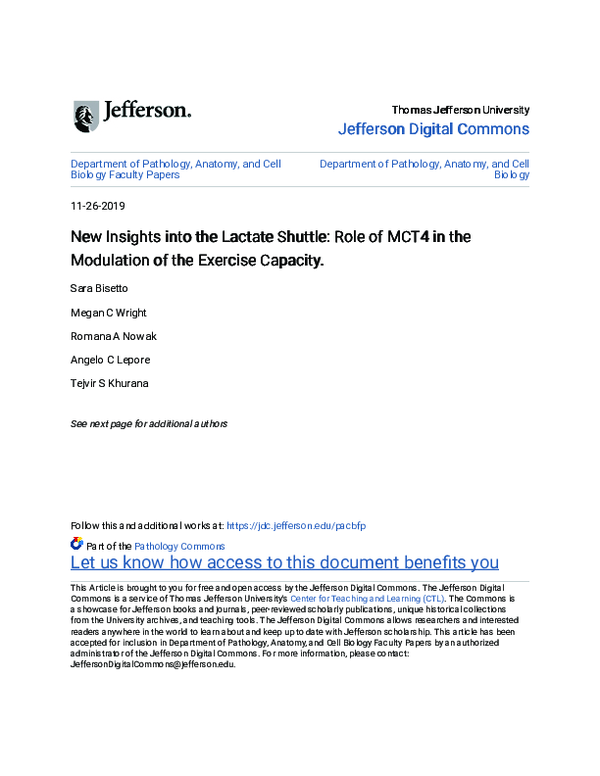 (PDF) New Insights into the Lactate Shuttle: Role of MCT4 in the ...