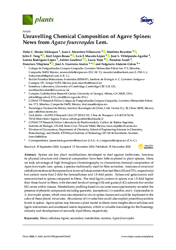 (PDF) Unravelling Chemical Composition of Agave Spines: News from Agave ...