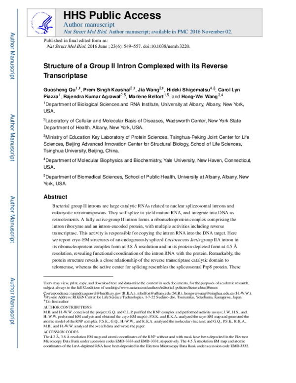 (PDF) Structure of a group II intron in complex with its reverse transcriptase