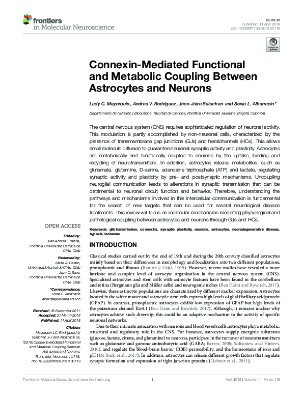 (PDF) Connexin-Mediated Functional and Metabolic Coupling Between ...