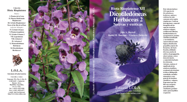 (PDF) Biota Rioplatense XII. Dicotiledóneas herbáceas 2 nativas y exóticas