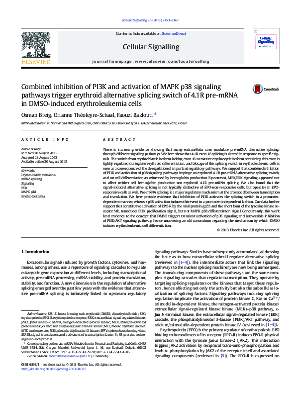 (PDF) Combined inhibition of PI3K and activation of MAPK p38 signaling ...