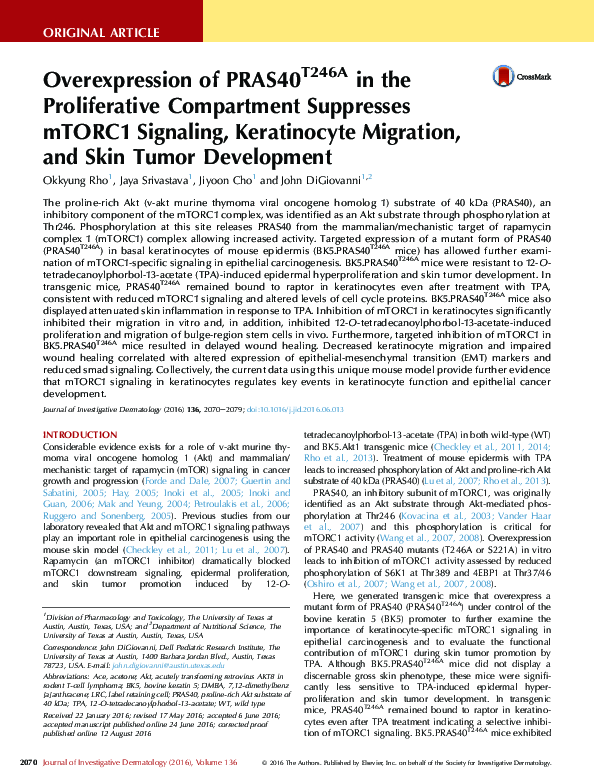 (PDF) Overexpression of PRAS40(T246A) in the Proliferative Compartment ...