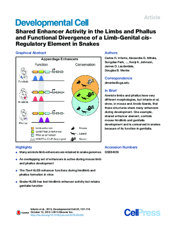 (PDF) Shared Enhancer Activity in the Limbs and Phallus and Functional Divergence of a Limb ...